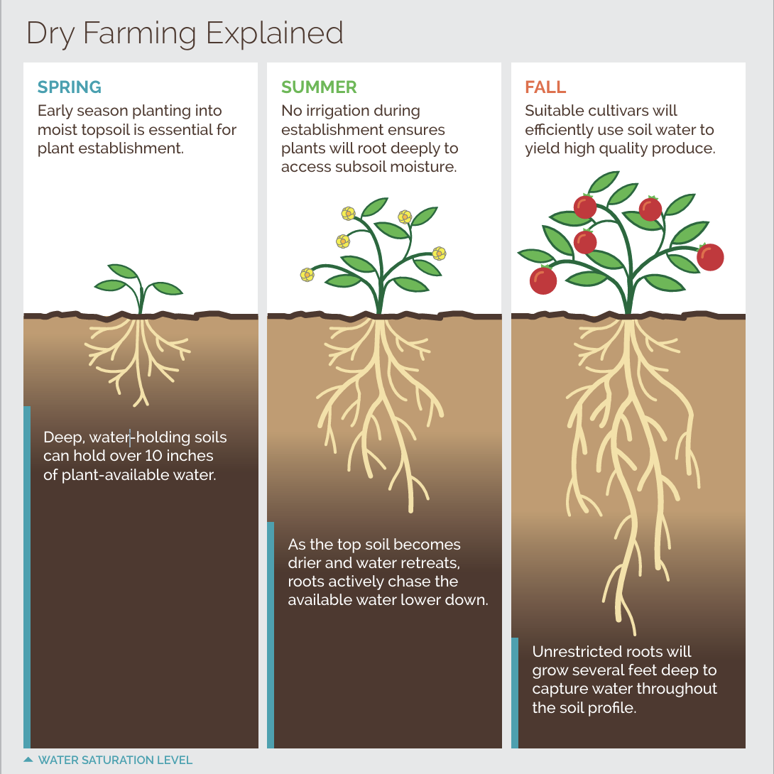 What is Dry Farming? - Dry Farming Institute